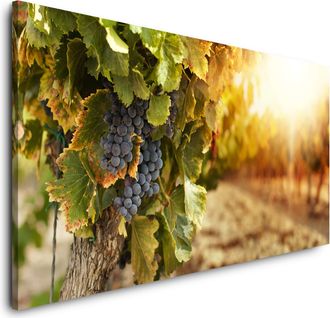 Paul Sinus Art Weinberg im Sonnenuntergang 120x 60cm Panorama Leinwand Bild XXL Format Wandbilder Wohnzimmer Wohnung Deko Kunstdrucke