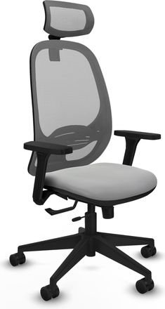 Piqueras y Crespo Cilanco Sicherheitsstuhl mit 3D-Armen, h&ouml;henverstellbare Lendenwirbelst&uuml;tze und h&ouml;henverstellbares Kopfteil, Grau/Hellgrau