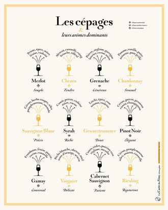 La Carte des Vins s'il vous pla&icirc;t Weinrebsorten (und ihre dominanten Aromen) - Das Poster der Weinliebhaber