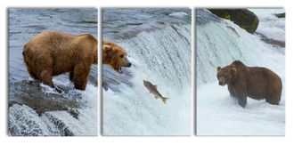 Pixxprint B&auml;ren fangen Lachs als XXL Leinwandbild in &Uuml;bergr&ouml;&szlig;e 210x100cm Gesamtma&szlig; 3 teilig, Wandbild, Kunstdruck