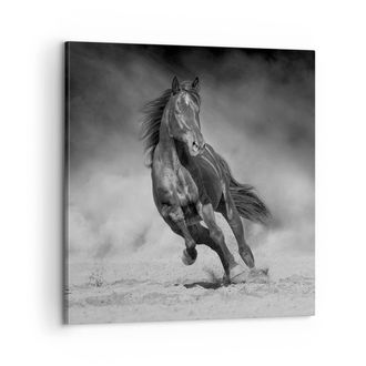 Arttor Bilder auf Leinwand Pferd Galopp dynamisch Leinwandbild 60x60cm Wandbilder Dekoration Wohnzimmer Schlafzimmer Küche Deko Groß Wanddeko Bild Wand Kunst