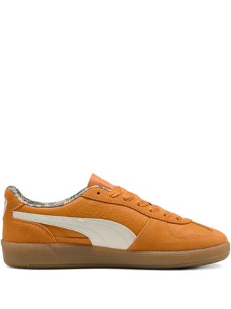 Puma baskets Palermo Bomber - Orange
