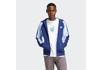 adidas Kapuzensweatshirt SEASONAL ESSENTIALS COLORBLOCK