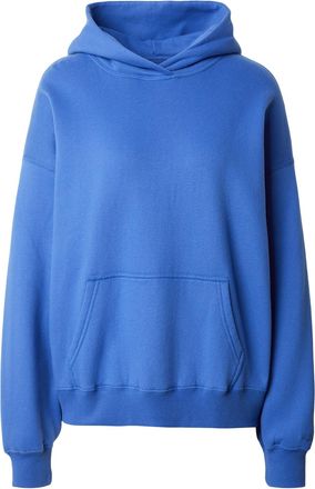 Hollister Sweatshirt