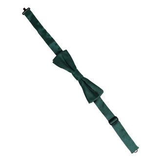 Dolce & Gabbana Homme, Accessoires, Vert, Taille: ONE Size Papillon Papillon