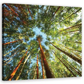 Feeby Vlies Leinwandbild XXL Wald Himmel Baumkronen 80x80 cm Wandbild Kunst Bilder Schlafzimmer Deko Wohnzimmer Natur Sonnentag Grün