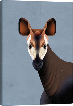 Posterlounge Okapi Leinwandbild von Dieter Braun 30 x 40 cm Blau Wandbilder Wanddeko