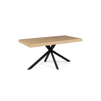 IDMarket Rechteckiger Esstisch ALIX 8 Personen Spinnenfuß Holz und Schwarz 160 cm