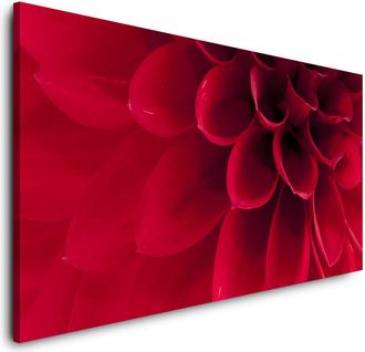 Paul Sinus Art rote Dahlie Nahaufnahme 120x 60cm Panorama Leinwand Bild XXL Format Wandbilder Wohnzimmer Wohnung Deko Kunstdrucke