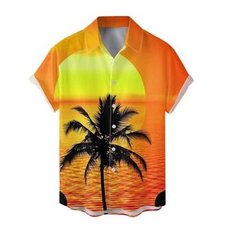 Generic Chemises hawa&iuml;ennes amusantes pour homme - Graphique tendance - Manches courtes - Boutonn&eacute;e - Pour l&eacute;t&eacute; - Palmier hawa&iuml;en - Revers - Plage des Cara&iuml;be