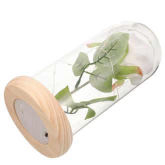 NUOBESTY Glasabdeckung Rose Valentinstag Dekoration Konservierte Wei&szlig;e Dauerhafte Rose mit Holzsockel Heimdeko f&uuml;r Wohnzimmer und B&uuml;ro Langlebige Blumendekorat