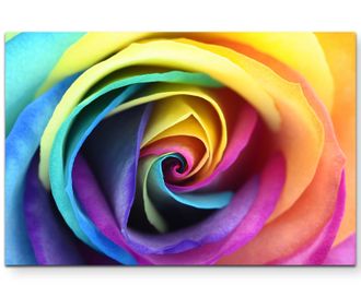 Paul Sinus Art Leinwandbilder | Bilder Leinwand 120x80cm eine Rose in den Farben des Regenbogens - Nahaufnahme