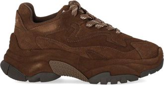 Ash BASKETS ADDICT BRUN ASH