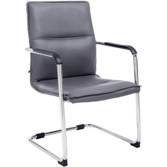 Clp Chaise de visiteur eco chaise cantilever en cuir avec accoudoirs modernes diff&eacute;rentes couleurs Couleur : Gris