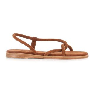 Ancient Greek Sandals Femme, Chaussures, Brun, Taille: 39 EU Bomba Sandal