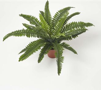 Homescapes Kunstpflanze Nephrolepis Exaltata, k&uuml;nstlicher Schwertfarn f&uuml;r den Indoor-Bereich, &uuml;ppiger Kunstfarn im Topf, k&uuml;nstliche Tropische Pflanze, 45 cm