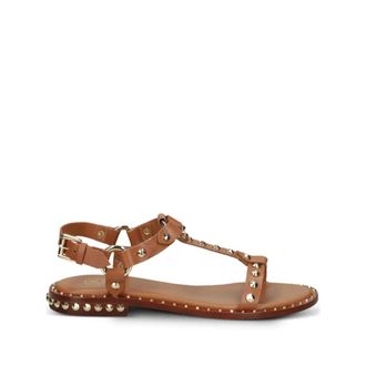 Ash Ash, Damen, Schuhe, Braun, 36 EUGr&ouml;&szlig;e