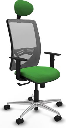 Piqueras y Crespo B&uuml;rostuhl Zulema mit 1D-Armen, h&ouml;henverstellbarer Lendenwirbelst&uuml;tze und festem Kopfteil, ausgestattet mit 3 Positionen und Schneidschaum, Grau/Gr&uuml;n