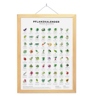 531 Rheinland Design Pflanzkalender und Aussaatkalender für den Garten, Aussaatzeiten für 64 verschiedene Gemüsesorten als Poster in Farbe mit und ohne Rahmen (30 x 40 cm,