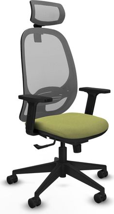 Piqueras y Crespo Stuhl mit verstellbarer Lendenwirbelst&uuml;tze mit 2D-Armlehnen und h&ouml;henverstellbarem Kopfteil, ausgestattet mit 3 Positionen und Schneidschaum, Grau/Oli