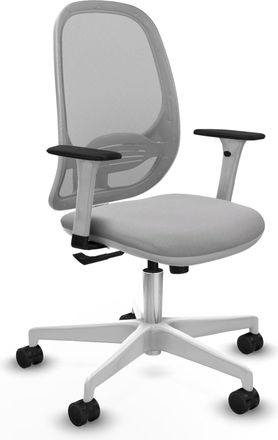 Piqueras y Crespo Hellgrauer Stuhl mit 1D-Armlehnen, h&ouml;henverstellbare Lendenwirbelst&uuml;tze. Ausgestattet mit 3 Positionen und Schneidschaum. Mit Rollen von 65 mm Nylon. 