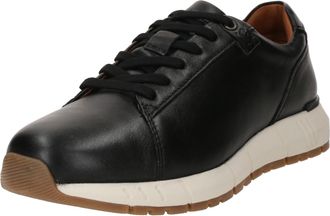 Salamander Sneaker