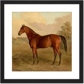 Artery8 Troye Kentucky Specht 1834 Braunes Pferd Gerahmter Kunstdruck 23x23 cm