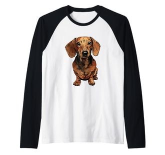 Whyitsme Design Roter Dackel-Hund Illustration Raglan