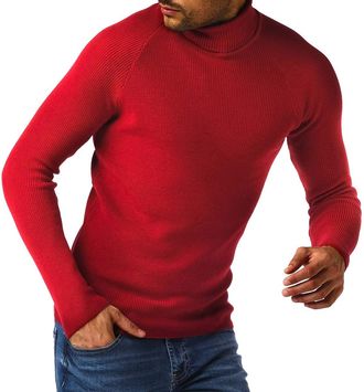 LEIF NELSON Herren Strickpullover Warmer Pullover mit Rollkragen Rollkragenpullover M&auml;nner Pulli f&uuml;r Winter Feinstrickpullover Slim Fit Longsleeve Langarm Crew Ne