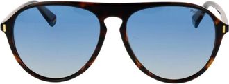 Polaroid Homme, Accessoires, Brun, Taille: ONE Size Lunettes de soleil Pld6225S57086