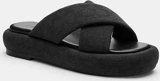 Coach Penelope Sandale mit Signature-C