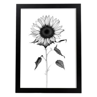 Nacnic Sonnenblume 1 Poster im nordischen Stil. Botanik Illustrationen mit Blumen und Pflanzen in Schwarz und Wei&szlig;. Innenarchitektur und Dekoration. A4