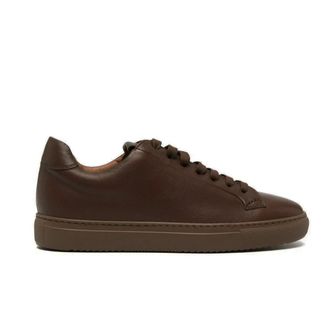 Doucal's Homme, Chaussures, Brun, Taille: 42 1/2 EU Boston Baskets - Marron Foncé