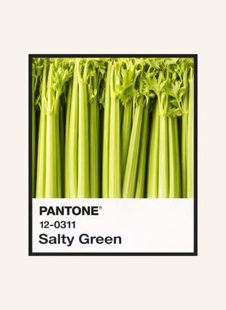 Liv Corday Wandbild Farbe: Salty Green / Selleriegr&uuml;n Mit Rahmen schwarz