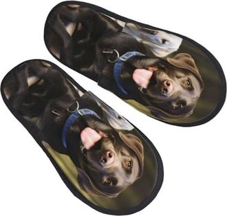 Generic Pantoufles En Coton Labrador Épais Chaussons Avec Semelle Caoutchouc Chaussons Maison Pour Automne La Maison Chambre M