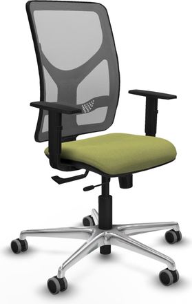 Piqueras y Crespo Schreibtischstuhl, Minzgr&uuml;n, mit 1D-Armlehnen, h&ouml;henverstellbare Lendenwirbelst&uuml;tze, ausgestattet mit Syncro/Traslack und Schneideschaum, Grau/Olivgr&uuml;