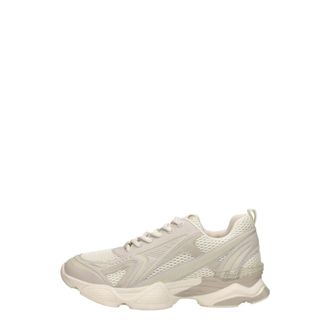 Steve Madden Femme, Chaussures, Beige, Taille: 39 EU Baskets Speedster-E