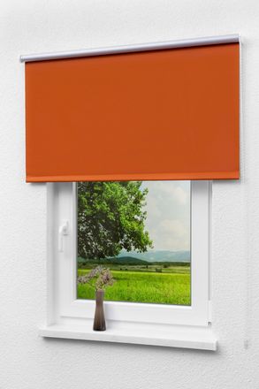 Lysel Outlet - Verdunkelungsrollo Thermo Rotorange, (B x H) 122.50cm x 175cm in orange/rotorange