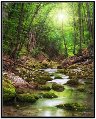 Wallario Wandbild - Fluss im Wald in Premiumqualit&auml;t, Poster mit schwarzem Rahmen, Gr&ouml;&szlig;e: 40 x 50 cm
