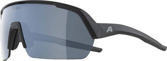 Alpina Sportbrille TURBO HR