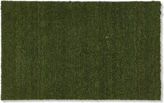 Astra Paillasson 100% Coco pour lext&eacute;rieur couvert 65x97cm vert