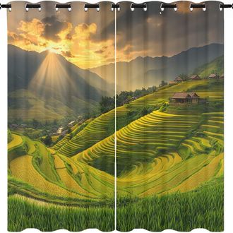Generic Vorhänge Blickdicht mit Ösen Reisfelder In Den Bergen Vietnams Verdunklungsvorhänge Kinderzimmer Vorhang H166 x B75 cm (2er Pack) NatüRliche Landschaf