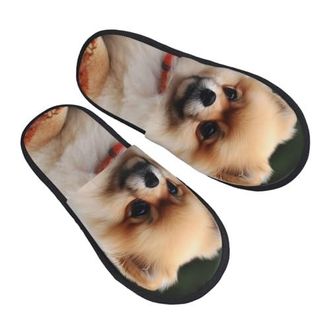 Generic Slippers Chien Pom&eacute;ranien Portative Pantoufles En Coton Lavables Chaussons DInt&eacute;rieur Pour Spa Camping Invit&eacute; M