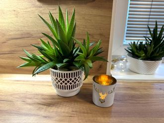 Kimmel 3 St&uuml;ck &Uuml;bertopf Klassik 13 cm Blumen&uuml;bertopf Sukkulententopf Kakteentopf Pflanztopf Blumentopf Orchideentopf Zimmerpflanzen Deko Topf, aus Kunststoff