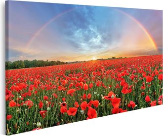 Islandburner Bild auf Leinwand Regenbogen Landschaft auf Mohnfeld Bilder Drucke Kunst Poster Wandbild