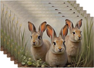 Generic Rustikale Hasen-Platzsets, Vintage-Tischsets f&uuml;r Esszimmer, Fr&uuml;hlingsurlaub, rutschfest, waschbar, f&uuml;r drinnen und drau&szlig;en, K&uuml;che, dekoratives Tischse