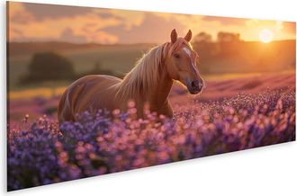 Islandburner Prime Bild auf Leinwand Pferd Steht elegant in einem Lavendelfeld voller leuchtender Farben und Kontraste Bilder Wandbilder Poster