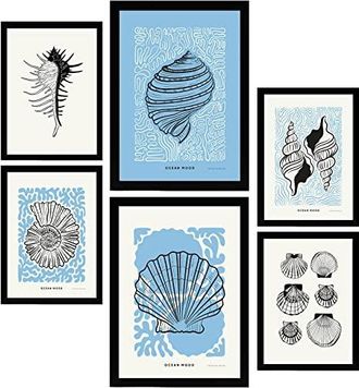 Nacnic Ensemble de 6 affiches &agrave; lencre noire. Coquillages ronds. Impressions artistiques de la mer et de loc&eacute;an pour lam&eacute;nagement int&eacute;rieur et la d&eacute;coration.