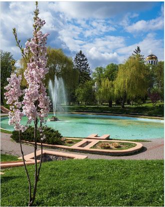 Wallario Poster - Fr&uuml;hling im Stadtpark in Premiumqualit&auml;t, Gr&ouml;&szlig;e: 40 x 50 cm
