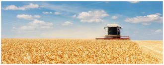 Wallario selbstklebendes Poster - Erntezeit auf dem Feld, Aufkleber in Premiumqualit&auml;t, Klebefolie Gr&ouml;&szlig;e: 50 x 125 cm